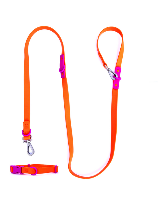 Walk Set – Approved by Fritz