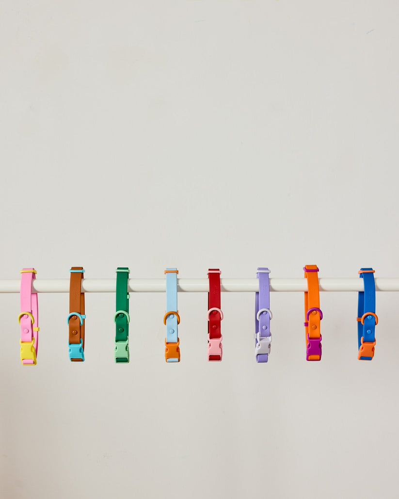 The Fritz Dog Collar – Adjustable, Water-Resistant & Stylish | Approved ...