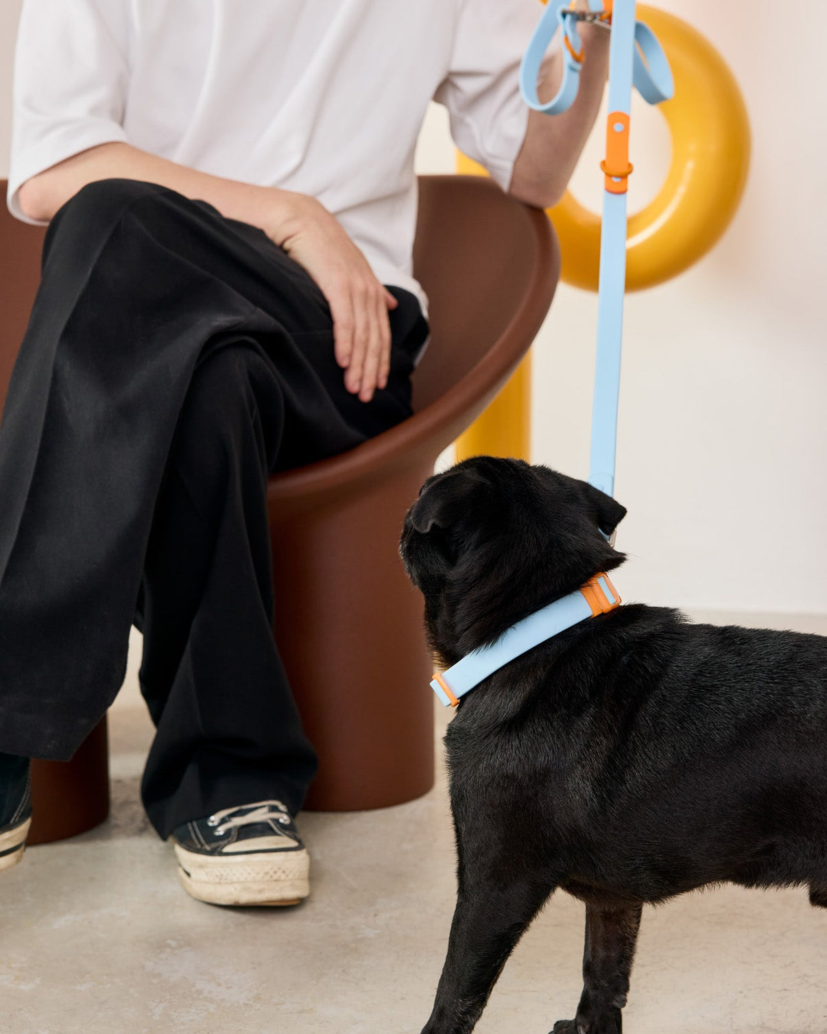 The Fritz Dog Collar – Adjustable, Water-Resistant & Stylish | Approved ...