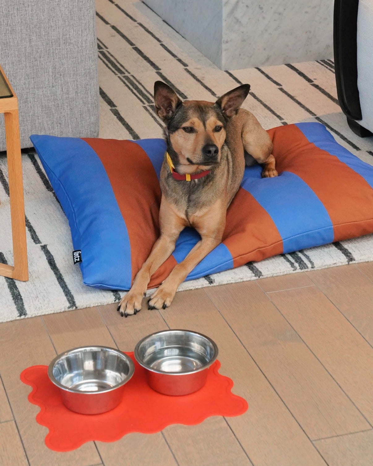 The Fritz Dog Bowl Mat – Approved by Fritz