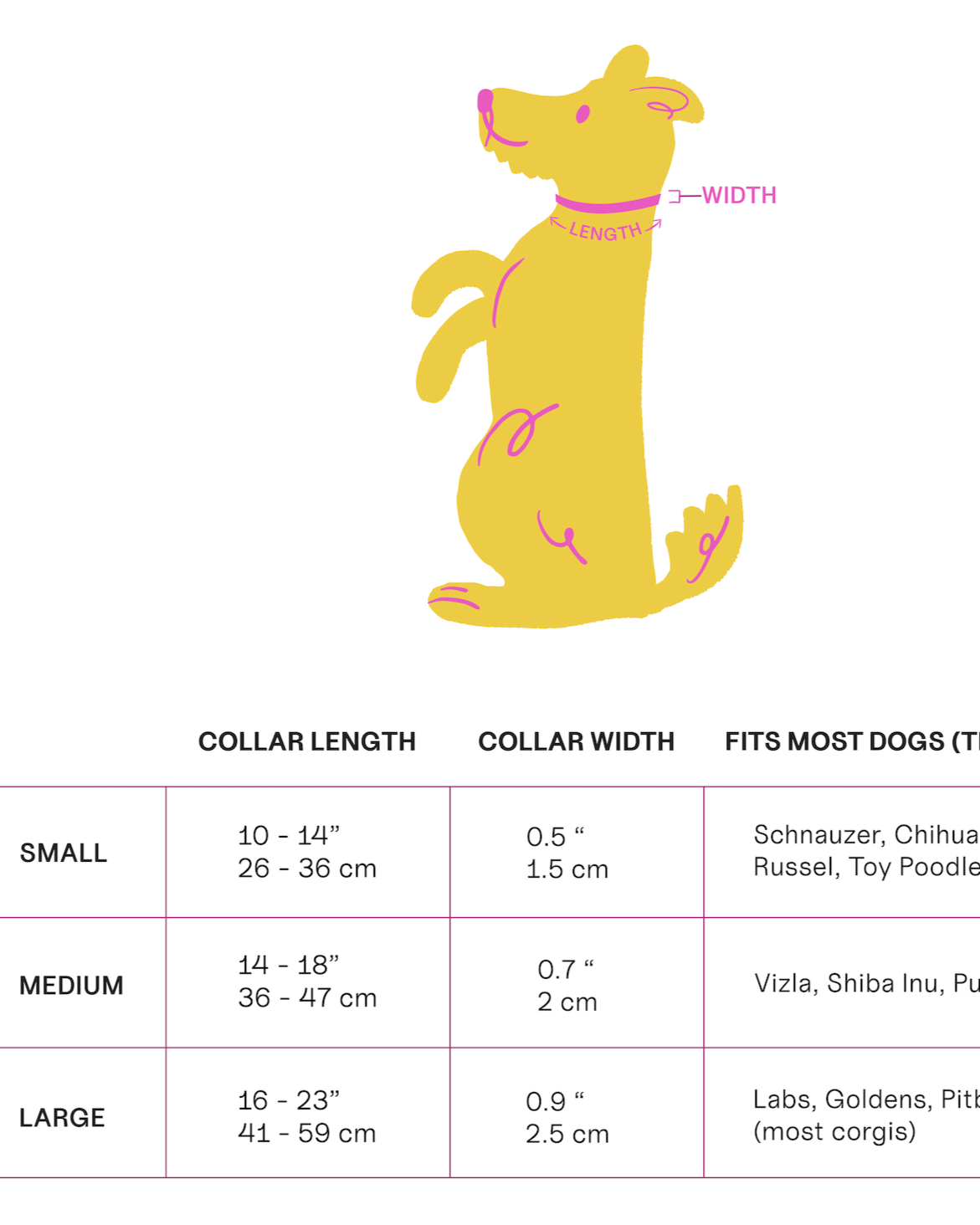 The Fritz Dog Collar – Adjustable, Water-Resistant & Stylish | Approved ...