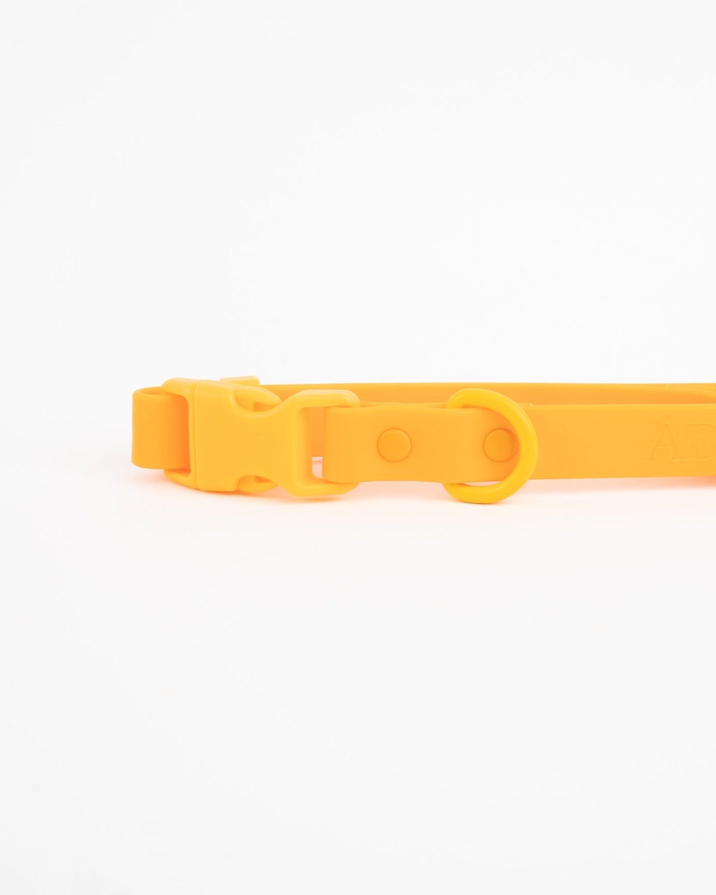 The Fritz Collar – Approved by Fritz